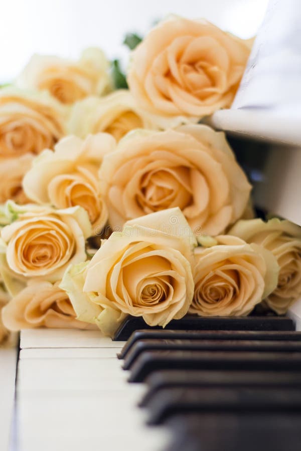 Red Roses on Piano Vintage Romantic Valentines Stock Image - Image of ...