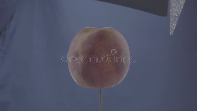 Peach Rotating with Loop on Blue Screen for Chroma Key Stock Video ...