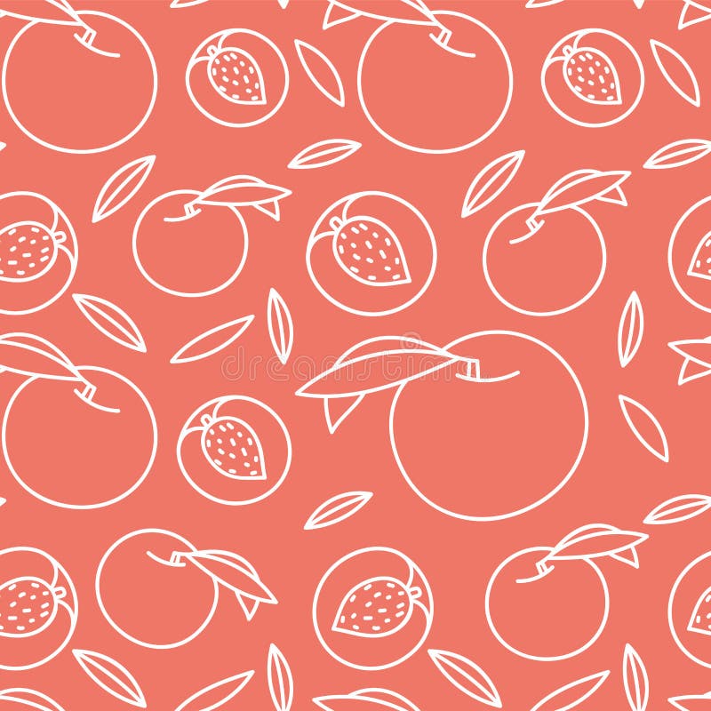 Peach Seamless Pattern. Hand Drawn Fresh Exotic Fruit. Vector Sketch ...