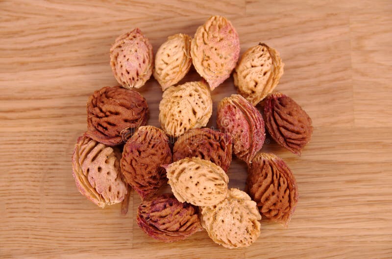 Peach seed stock image. Image of peach, group, close - 127512055