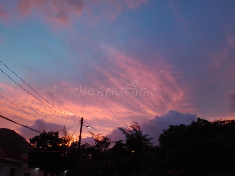 Peach Sky stock image. Image of trees, blue, sunset - 158550087