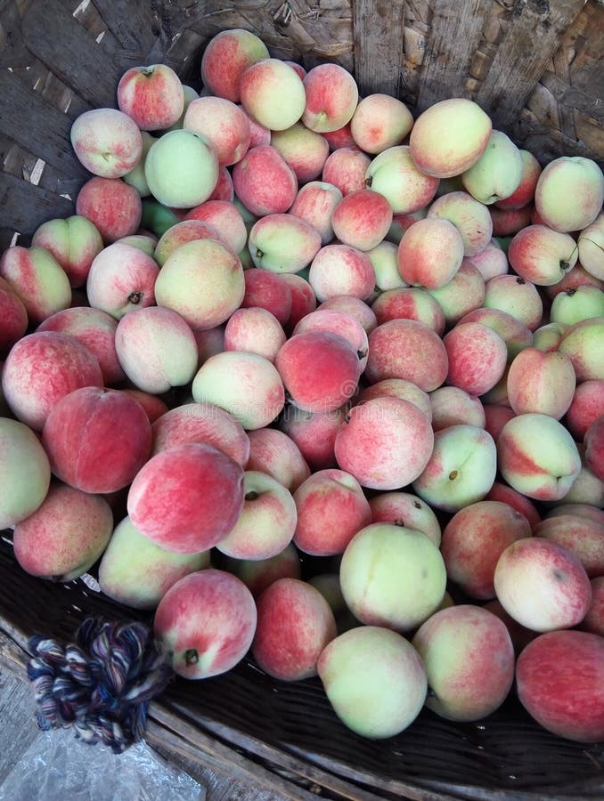 Peach stock photo. Image of vegetable, business, material - 118716080
