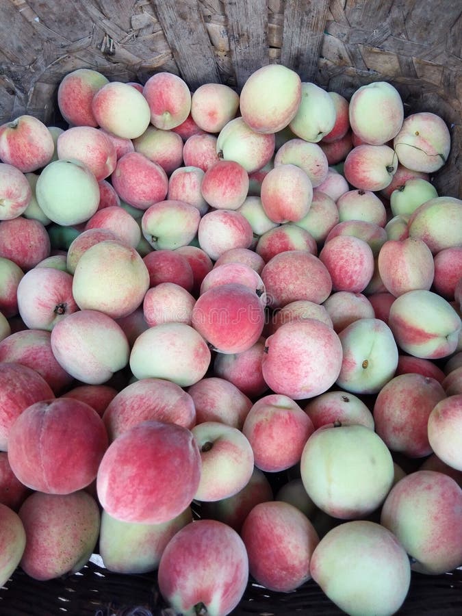 Peach stock photo. Image of plant, heap, business, material - 118716568