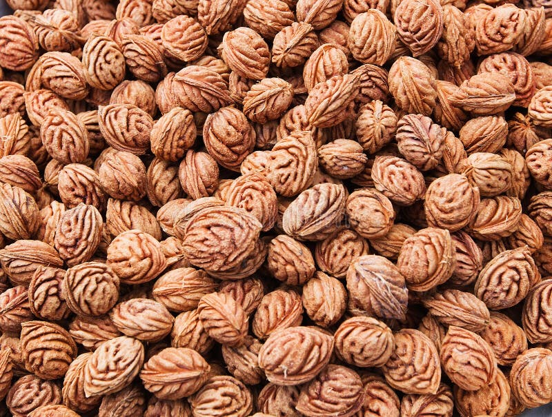 Peach stone stock photo. Image of greengrocery, brown - 33996100