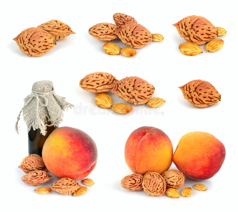 Peach stones. stock photo. Image of closeup, grain, copy - 32701984