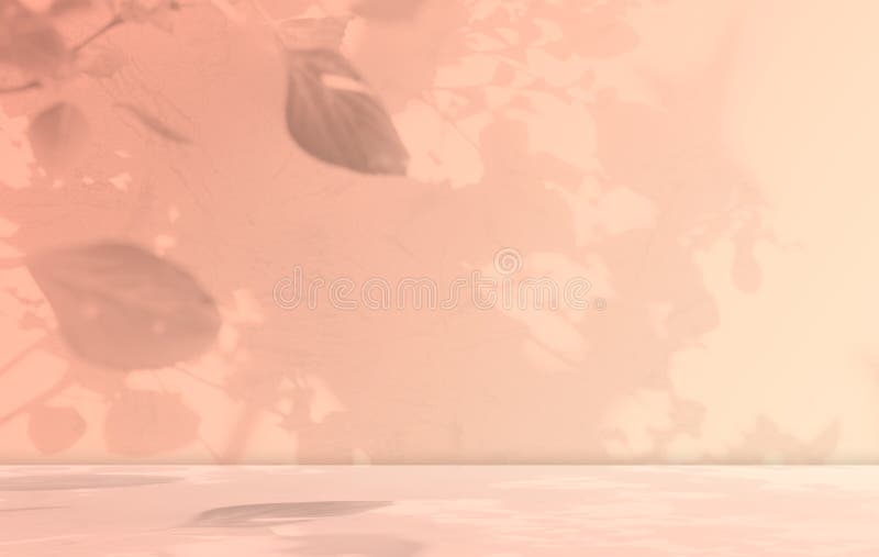 Peach Studio Room Background,Shadow Leaf on Wall Floor Pastel Pink ...