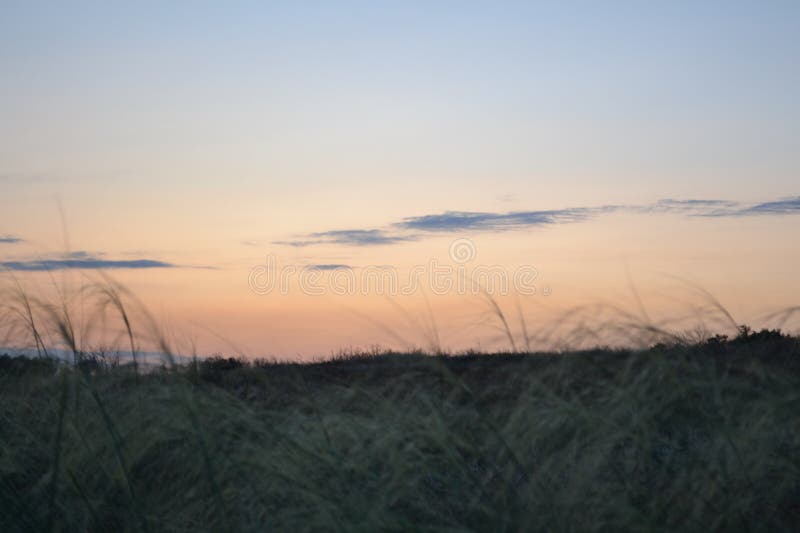 A Peach Sunset in the Savannah. Stock Photo - Image of horizon, nature ...