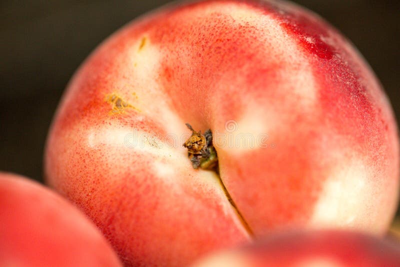 Peach on Table. Full Depth of Field Stock Image - Image of stem, table ...