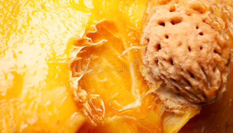 The Juicy Pulp of the Watermelon Stock Image - Image of juicy ...