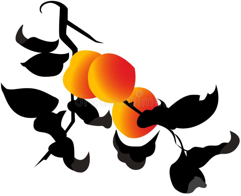 Peach Tree Drawing Stock Illustrations – 5,377 Peach Tree Drawing Stock ...