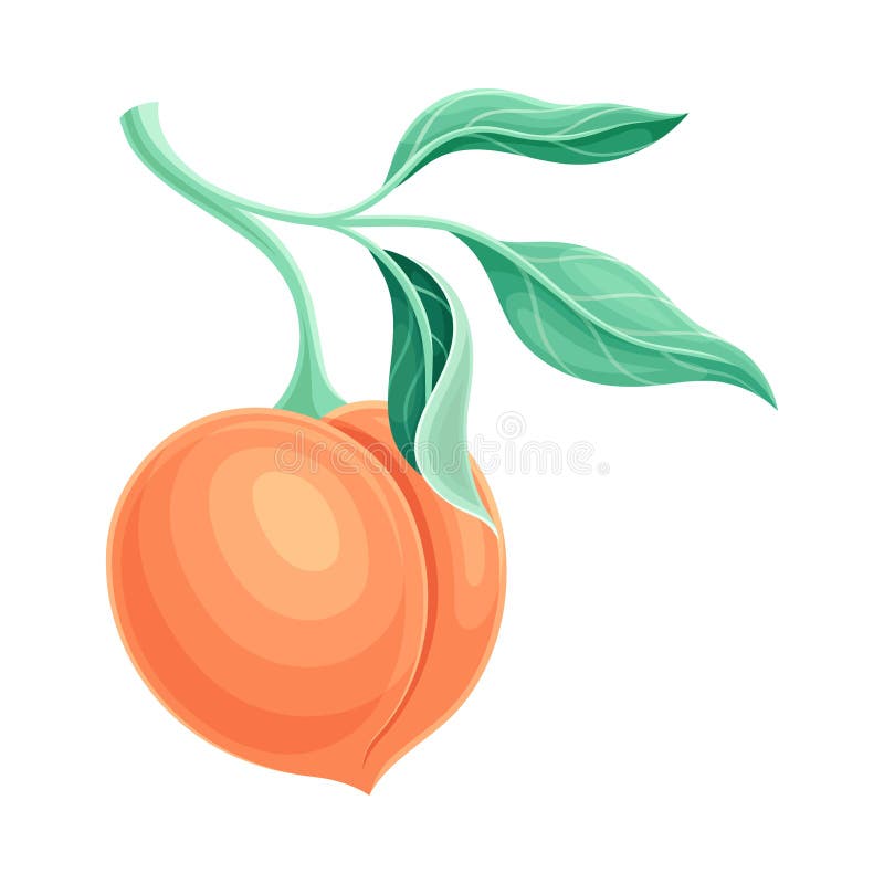 Peach Tree Illustration Stock Illustrations – 4,393 Peach Tree ...
