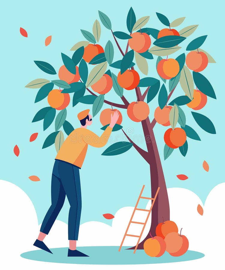 A peach tree stock vector. Illustration of cartoon, cultivated - 331852316