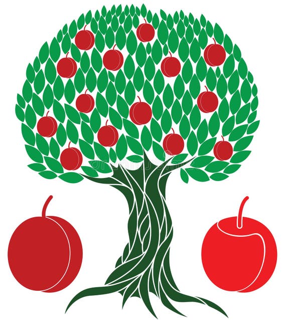 Peach tree stock vector. Illustration of green, crop - 49251368