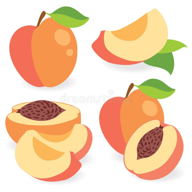 Peach vector illustration stock vector. Illustration of emblem - 59971113