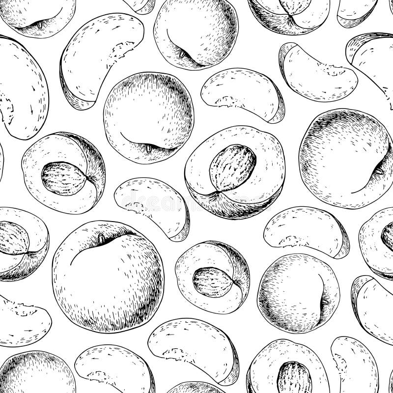 Peach Vector Seamless Pattern. Hand Drawn Full and Sliced Pieces Stock ...