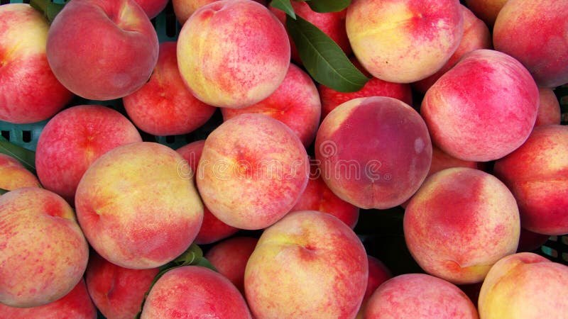 20,724 Ripe Red Peaches Stock Photos - Free & Royalty-Free Stock Photos ...