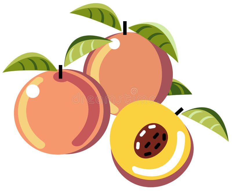 Peach Simple Vector Illustration. One Continuous Line Drawing Art ...