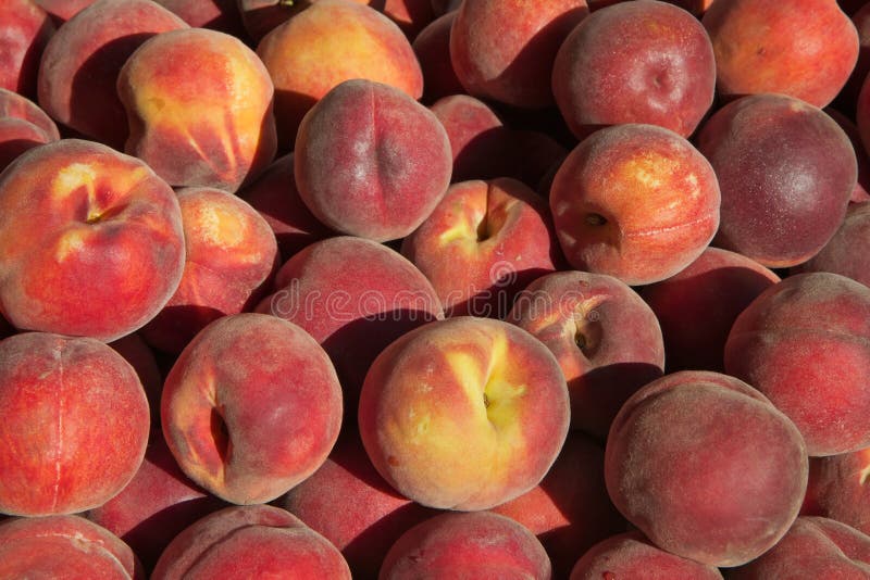 Peaches stock photo. Image of food, snack, healthy, nutritious - 14925348