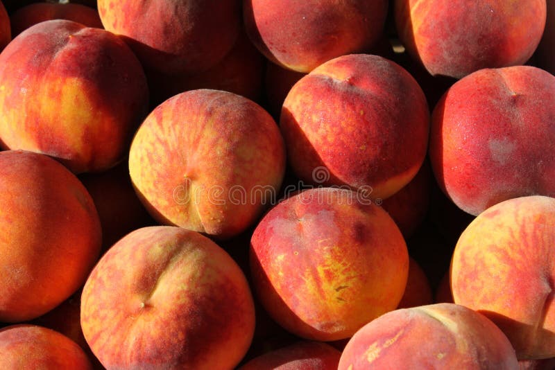 Lemons stock photo. Image of market, grocery, produce - 14270886