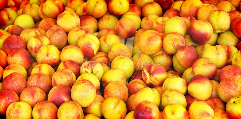 Peaches stock image. Image of freshness, juicy, structure - 18982925