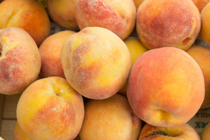 Peaches in box stock image. Image of agriculture, season - 126305353
