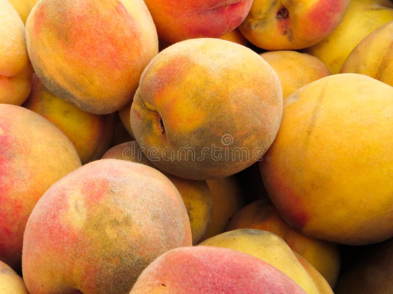 Peaches covered in ash stock image. Image of juicy, farmer - 91679335
