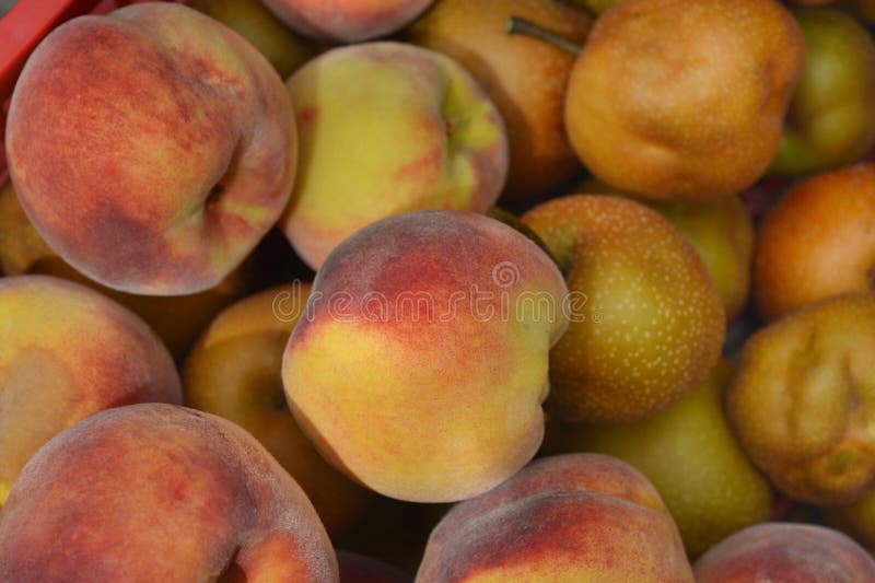 Peaches stock image. Image of snack, picked, peach, pile - 335399545