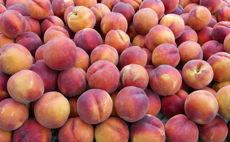 Red Peaches on Display Fresh Market Retail Grocery Store Stock Photo ...