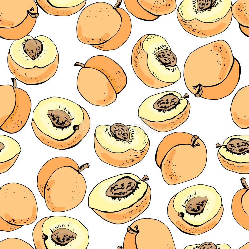 Peaches and Halves Peaches, Seamless Pattern. Vector Illustration Stock ...