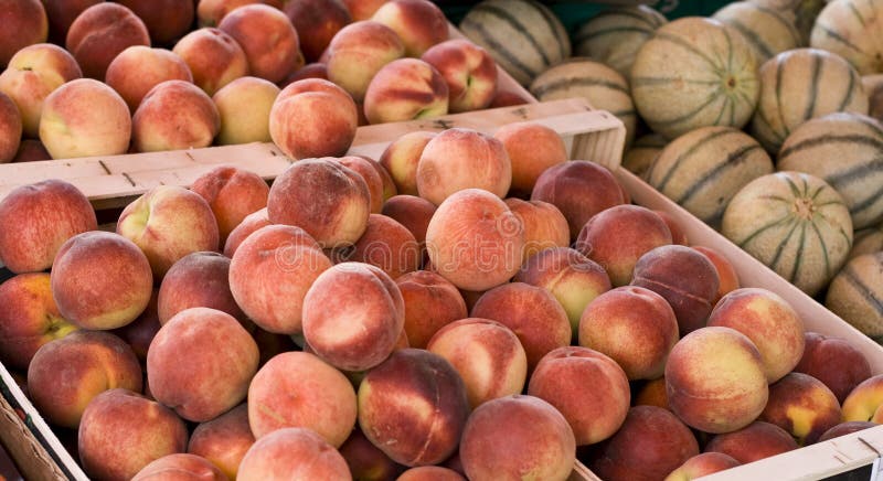 Peaches and melon stock image. Image of melon, melons - 9867465