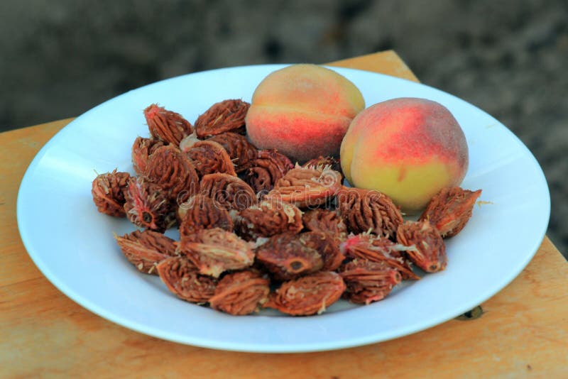Peaches and Peach Kernels on the Plate Stock Image - Image of white ...