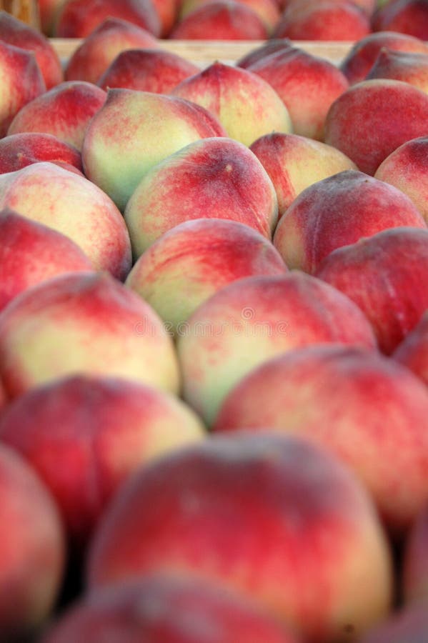 Peaches stock image. Image of close, objects, ripe, back - 31584021