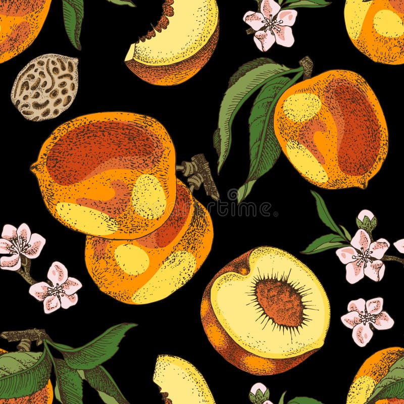 Peaches Seamless Pattern Vector Illustration Stock Illustration ...