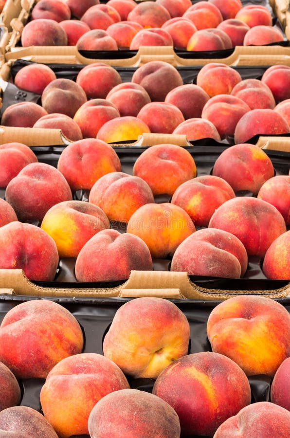 Peaches in Trays on Display Stock Photo - Image of vegetarian, harvest ...