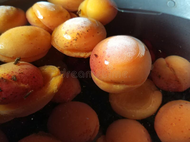 Peaches in the water stock photo. Image of like, orange - 114579094