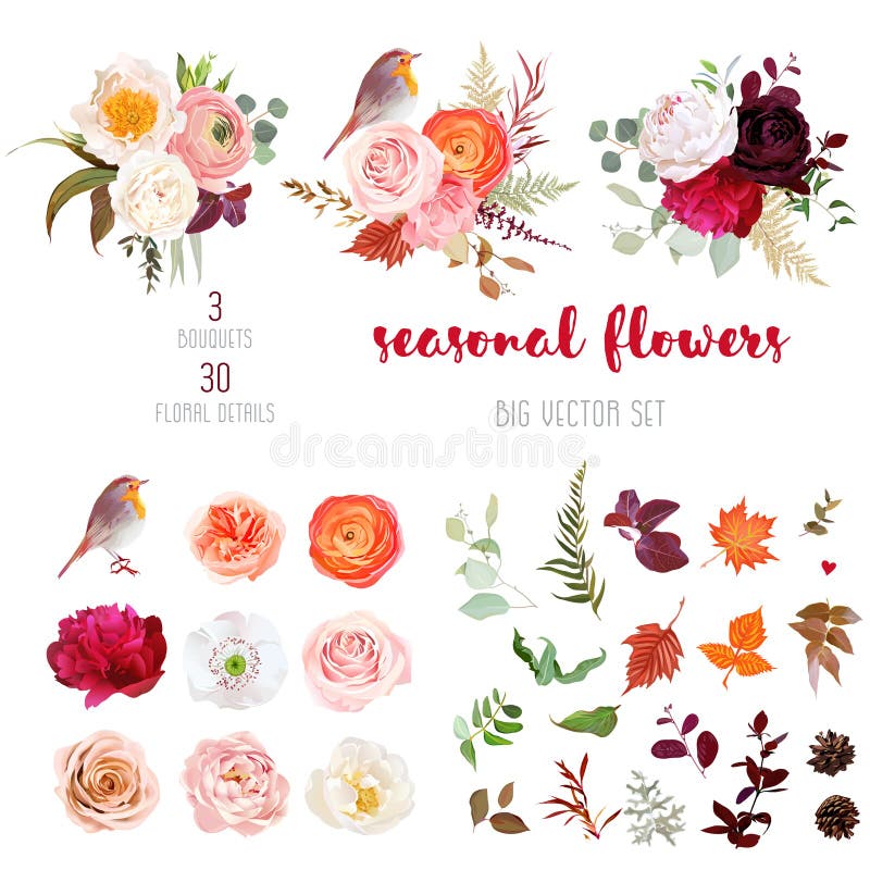 Red White Bloom Stock Illustrations – 61,941 Red White Bloom Stock ...
