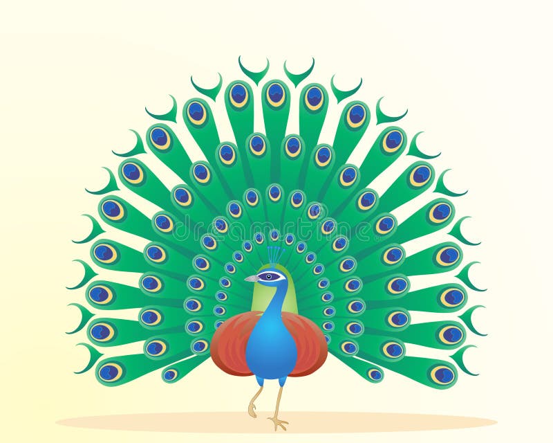 Illustration With Stylized Ornamental Peacock Stock Vector