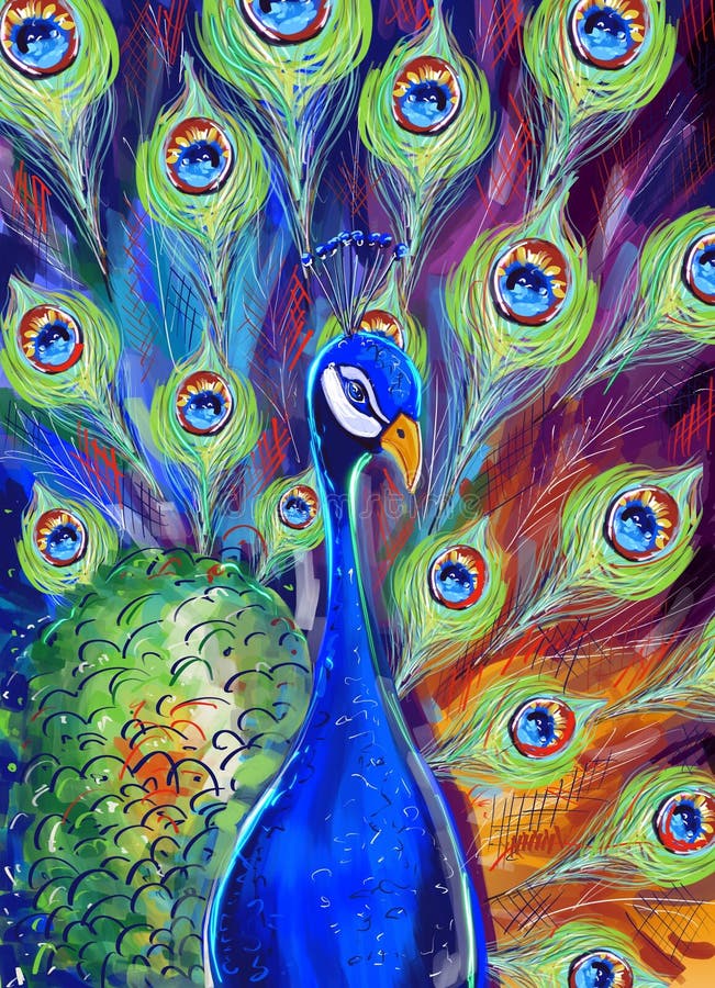 Peacock. Book Cover Illustration, Digital Illustration. Colored Peacock ...