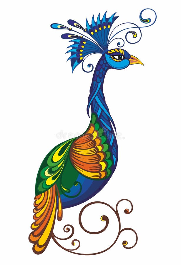 Fantasy Peacock Drawing Vector Illustration Of Bird Stock Vector