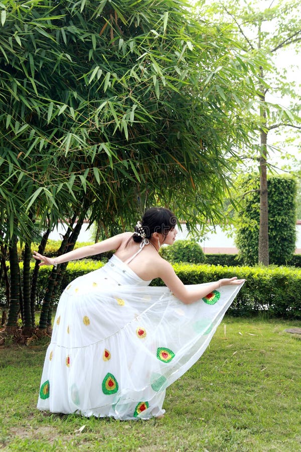 Peacock dance stock photo. Image of performance, china - 1230298