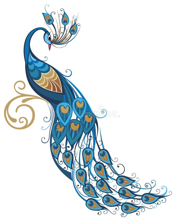 Peacock Stock Illustrations 43 615 Peacock Stock Illustrations
