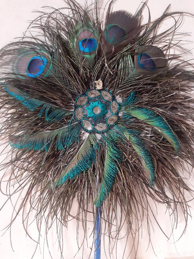 Peacock Feather for Decoration the Peacock Has Long, Green Feathers ...