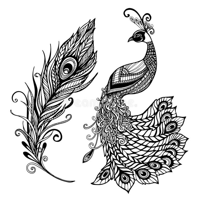 Stylized Peacock Feather Stock Illustrations 2 040 Stylized Peacock