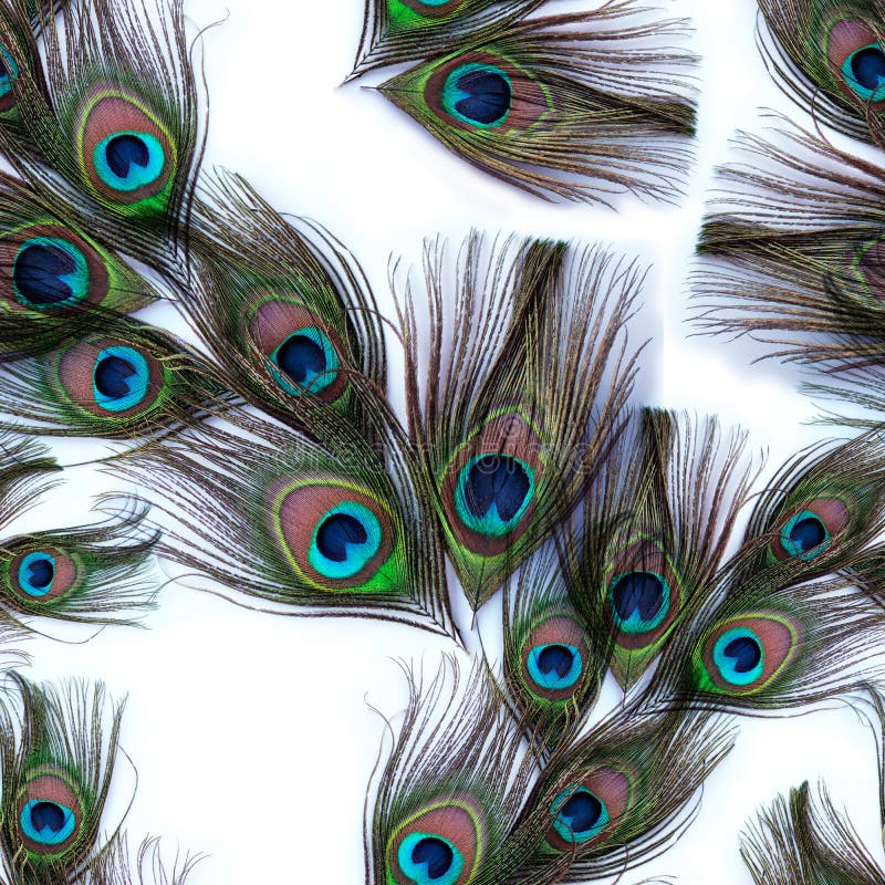 Feathers Collage Stock Illustrations – 1,064 Feathers Collage Stock ...