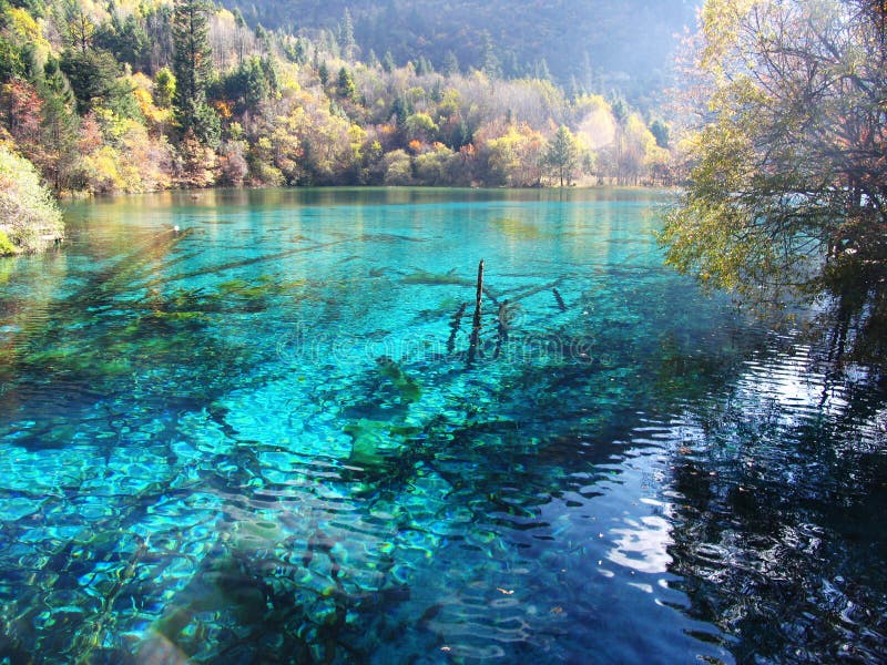 Peacock Lake Picture. Image: 5057718