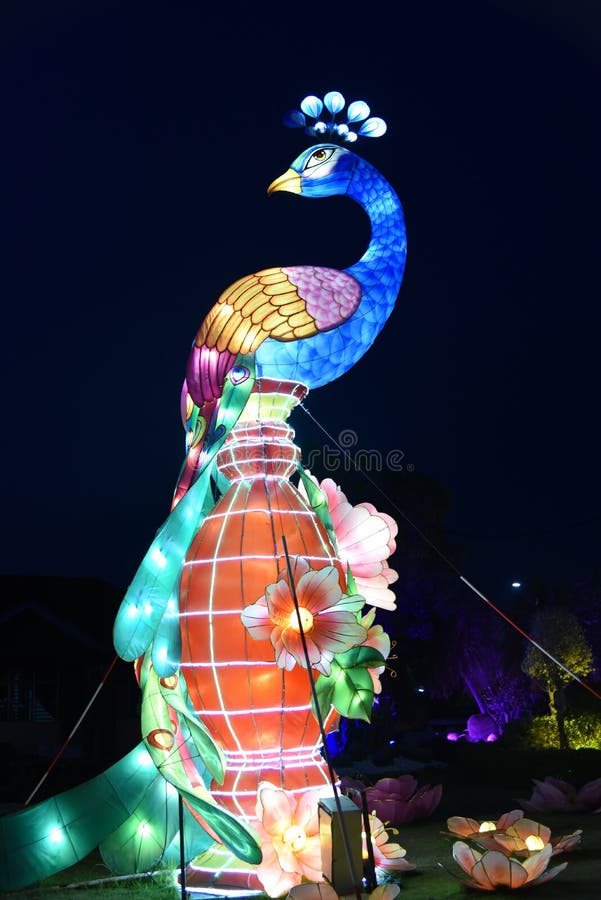 Lighted peacock display stock photo. Image of horizontal - 12421436