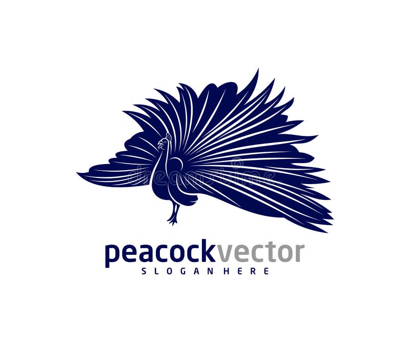 Peacock Logo Design Vector Template Peacock Bird Illustration Stock