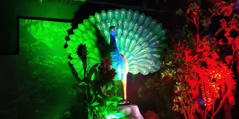 Peacock on the stage stock image. Image of stage, light - 179310255