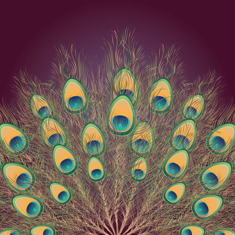 Peacock Tail Illustration stock illustration. Illustration of pattern ...