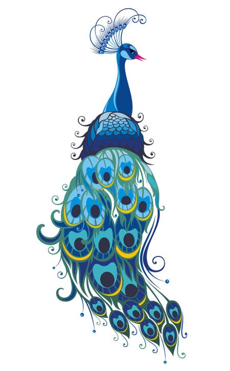 Peacock stock vector. Illustration of elegant, bright - 34707475